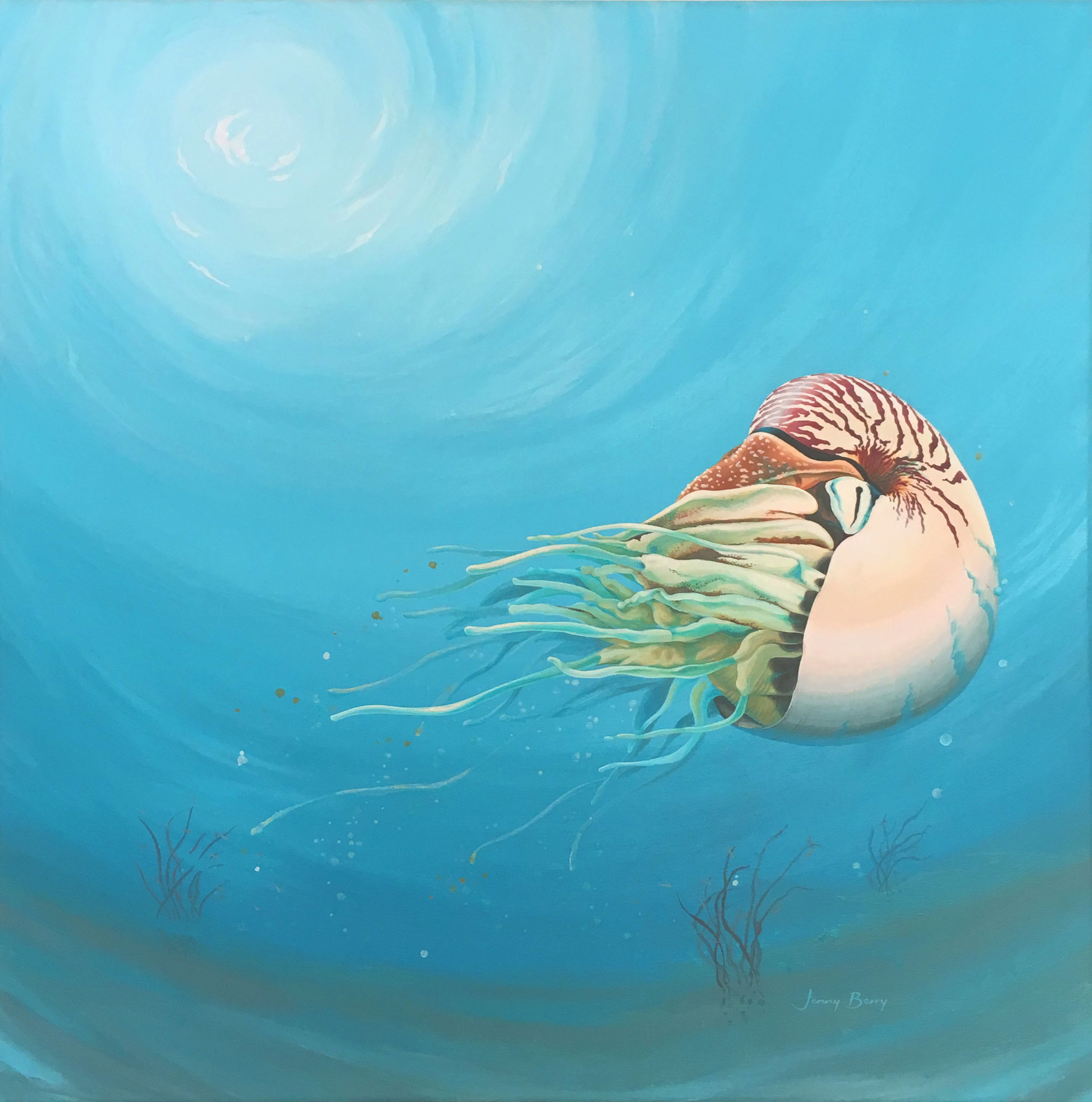 Gallery — Jenny Berry Marine Life Artist