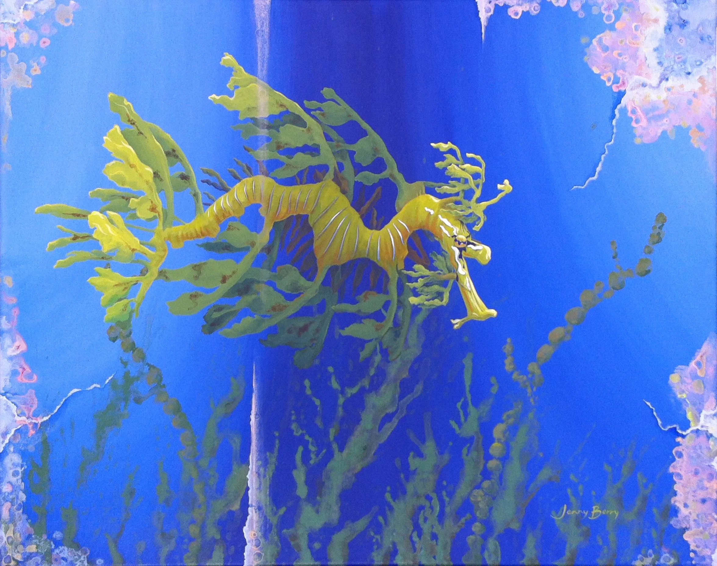 Gallery — Jenny Berry Marine Life Artist