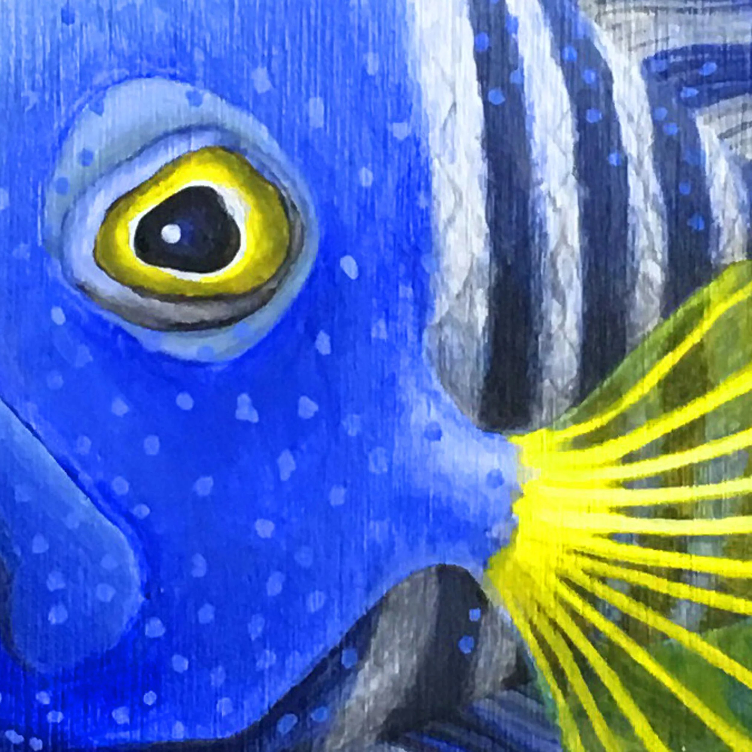 Eastern Blue Devil Fish 8 x 10" — Jenny Berry Marine Life Artist