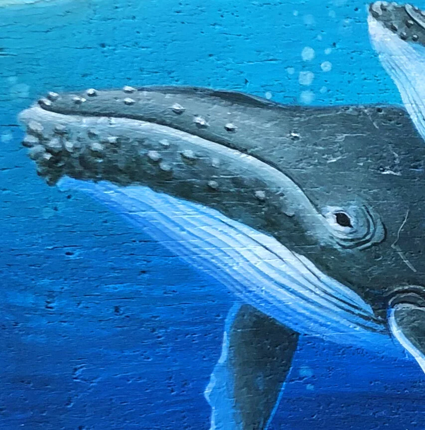 Humpback Whales - Ocean Between Our Love — Jenny Berry Marine Life Artist