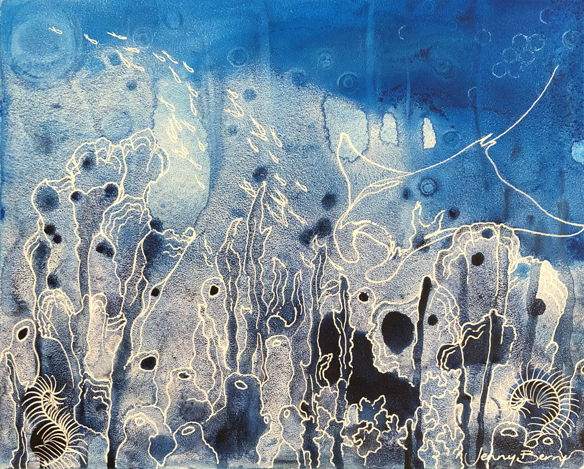 Jenny Berry Marine Life Artist