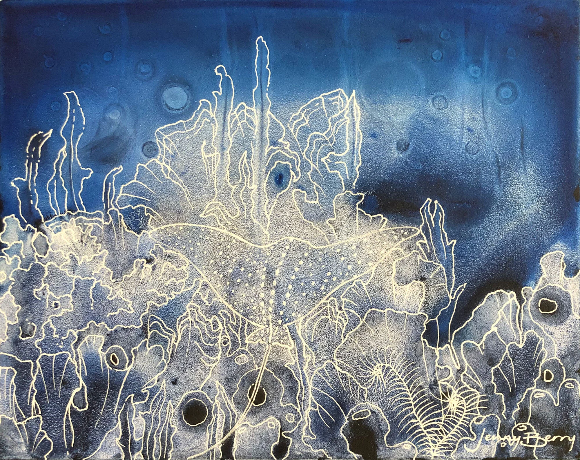 Jenny Berry Marine Life Artist