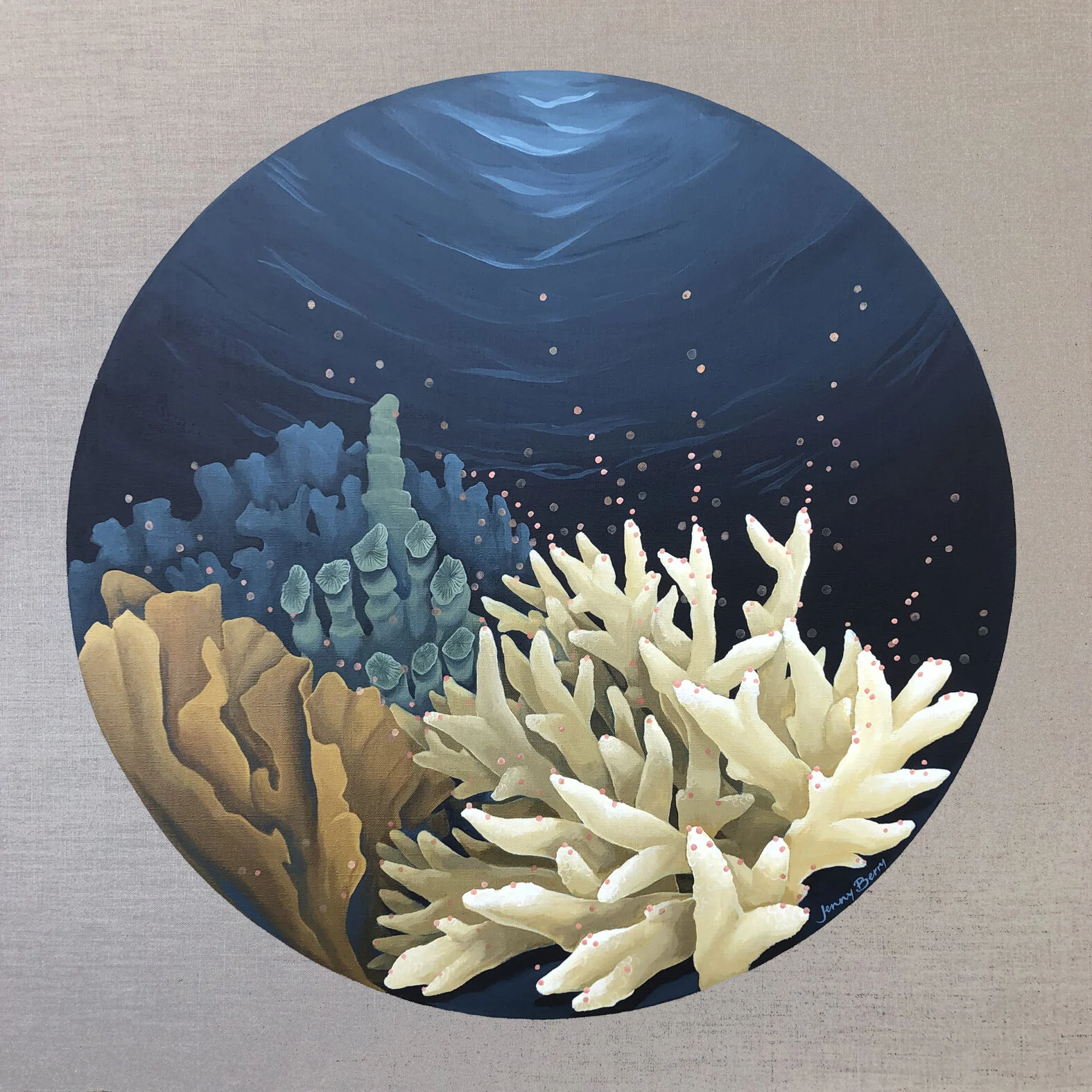 Jenny Berry Marine Life Artist