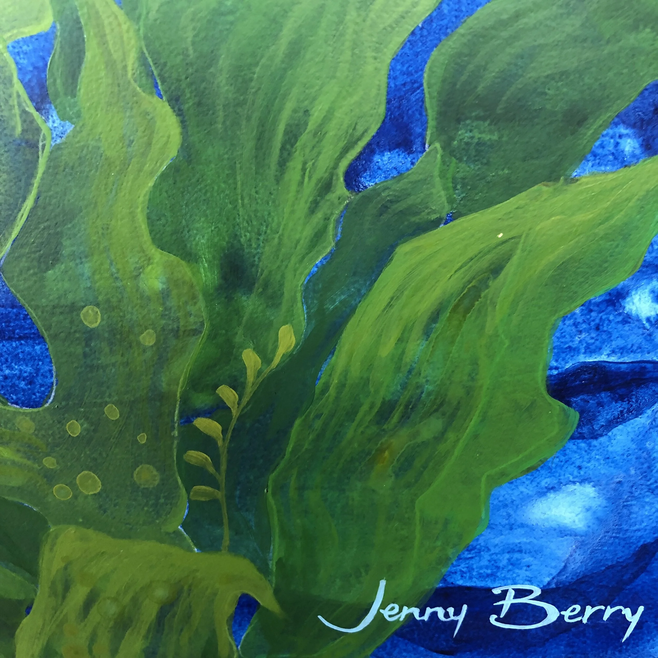 "Cavorting" — Jenny Berry Marine Life Artist