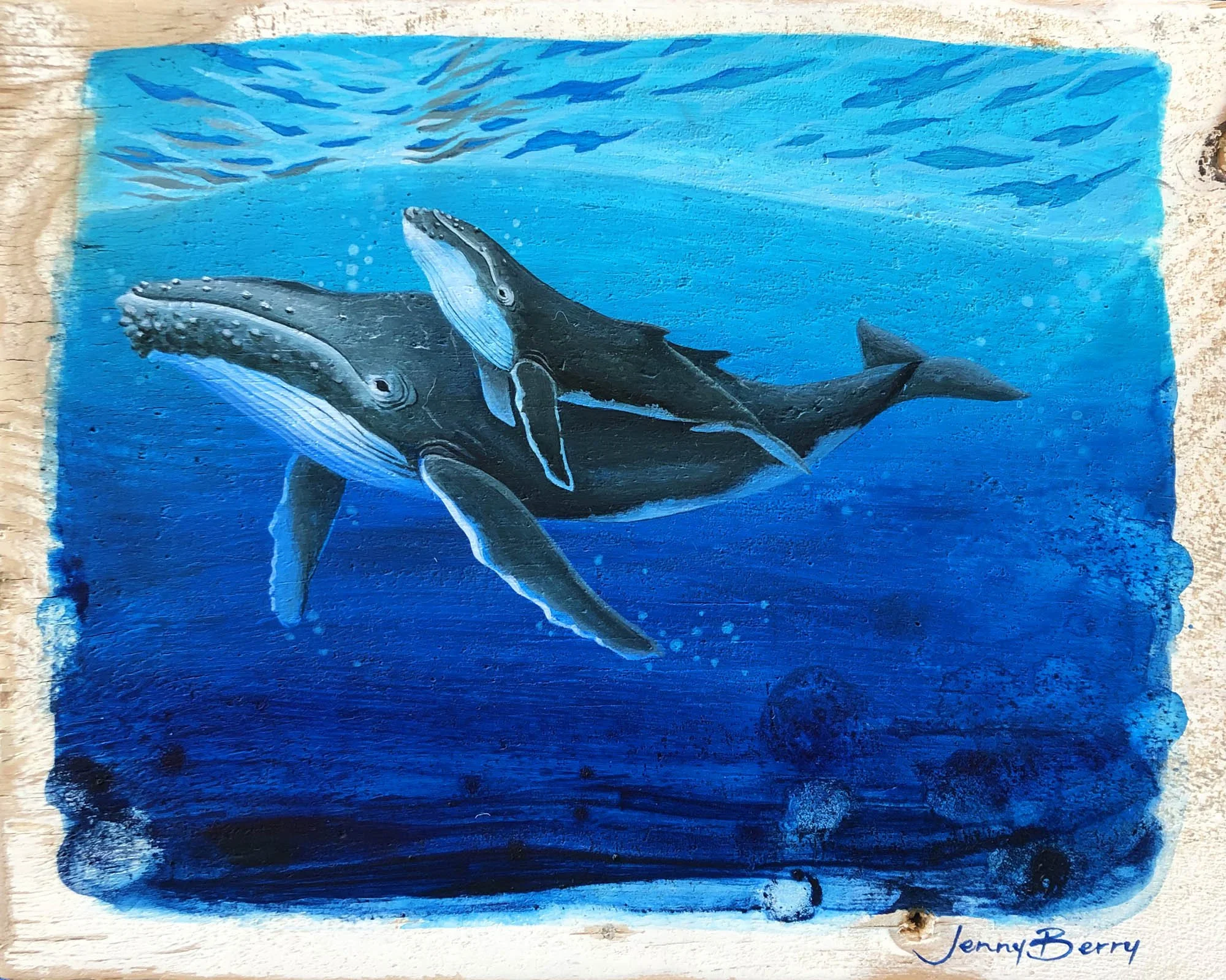 Jenny Berry Marine Life Artist