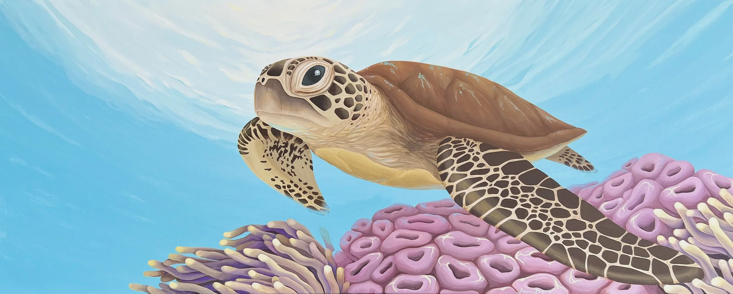 Jenny Berry Marine Life Artist