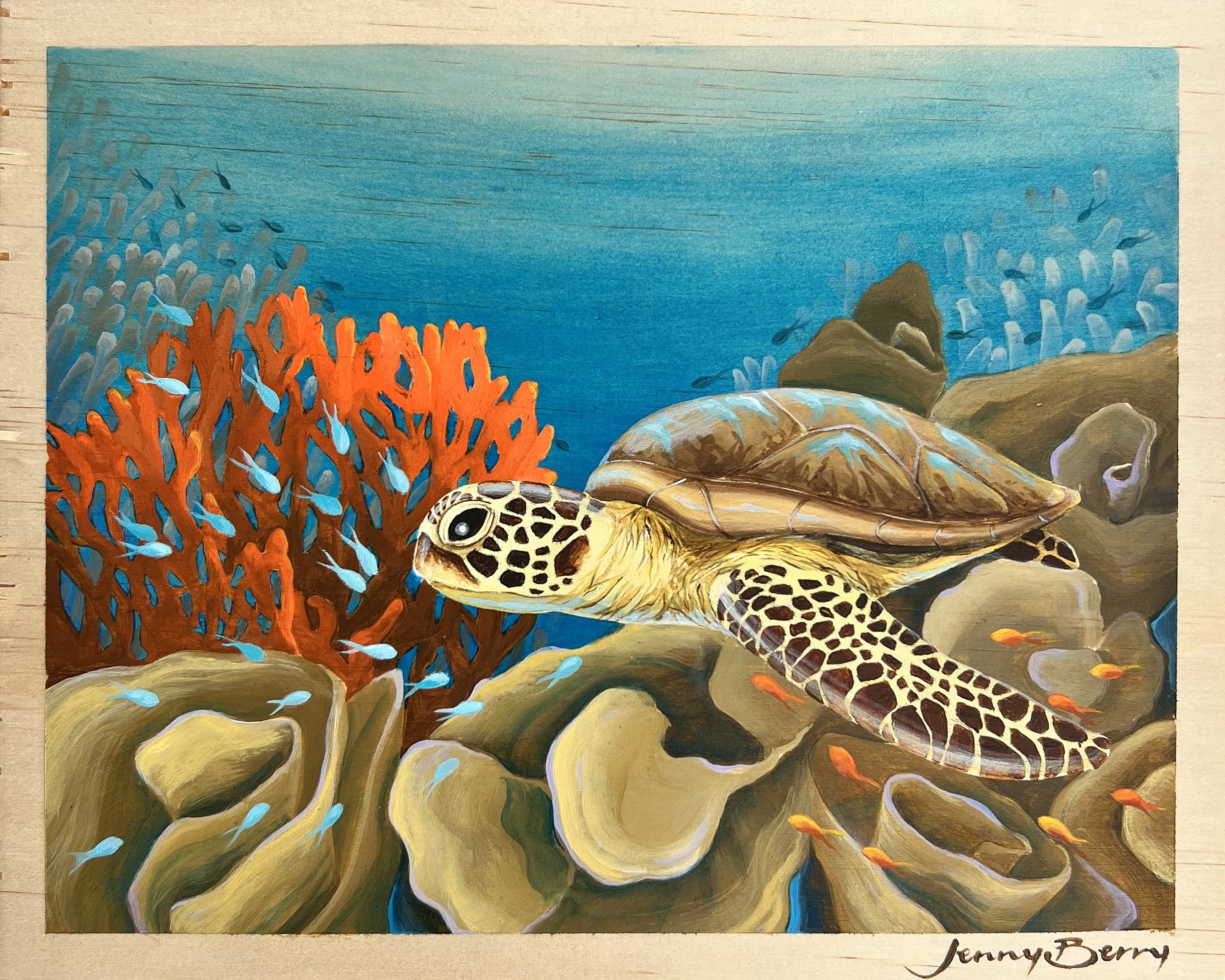 Jenny Berry Marine Life Artist