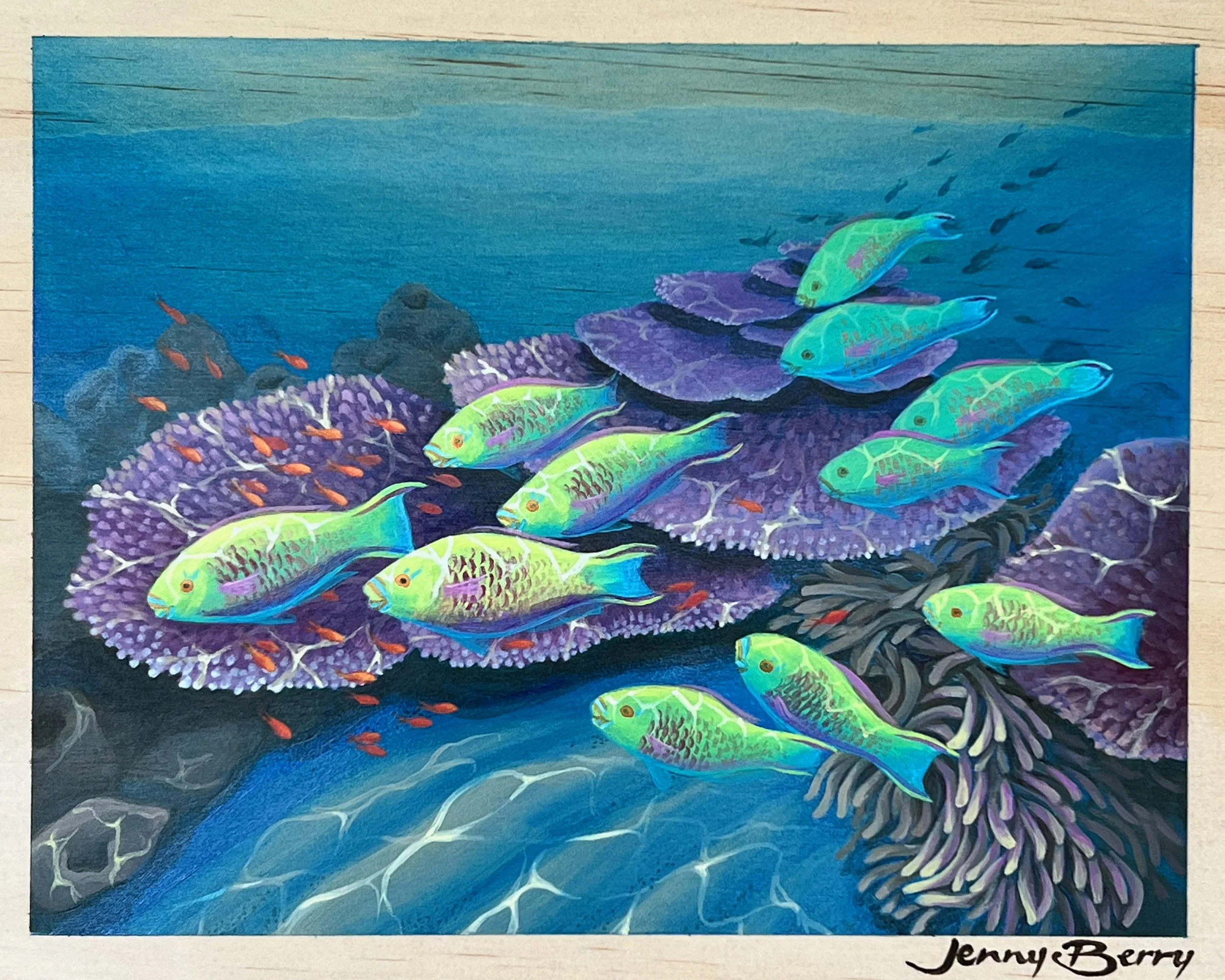 Jenny Berry Marine Life Artist