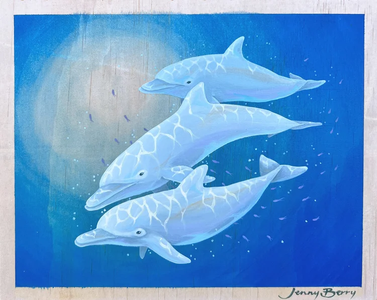 Gallery — Jenny Berry Marine Life Artist