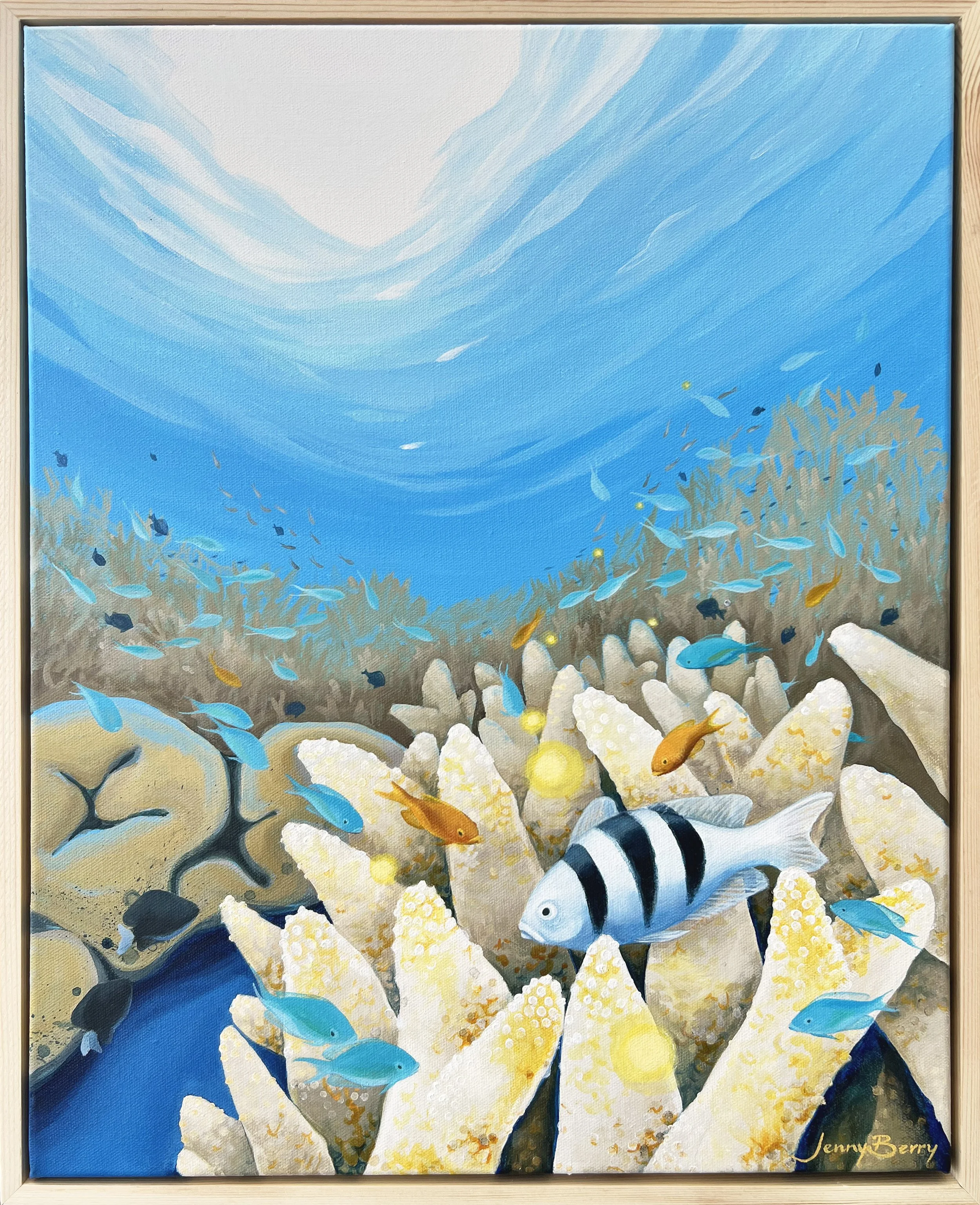 Jenny Berry Marine Life Artist
