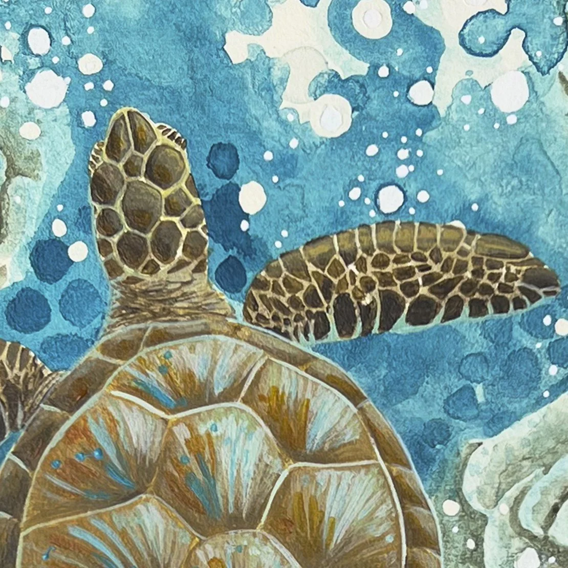 Crystal Seas - Green Turtle — Jenny Berry Marine Life Artist