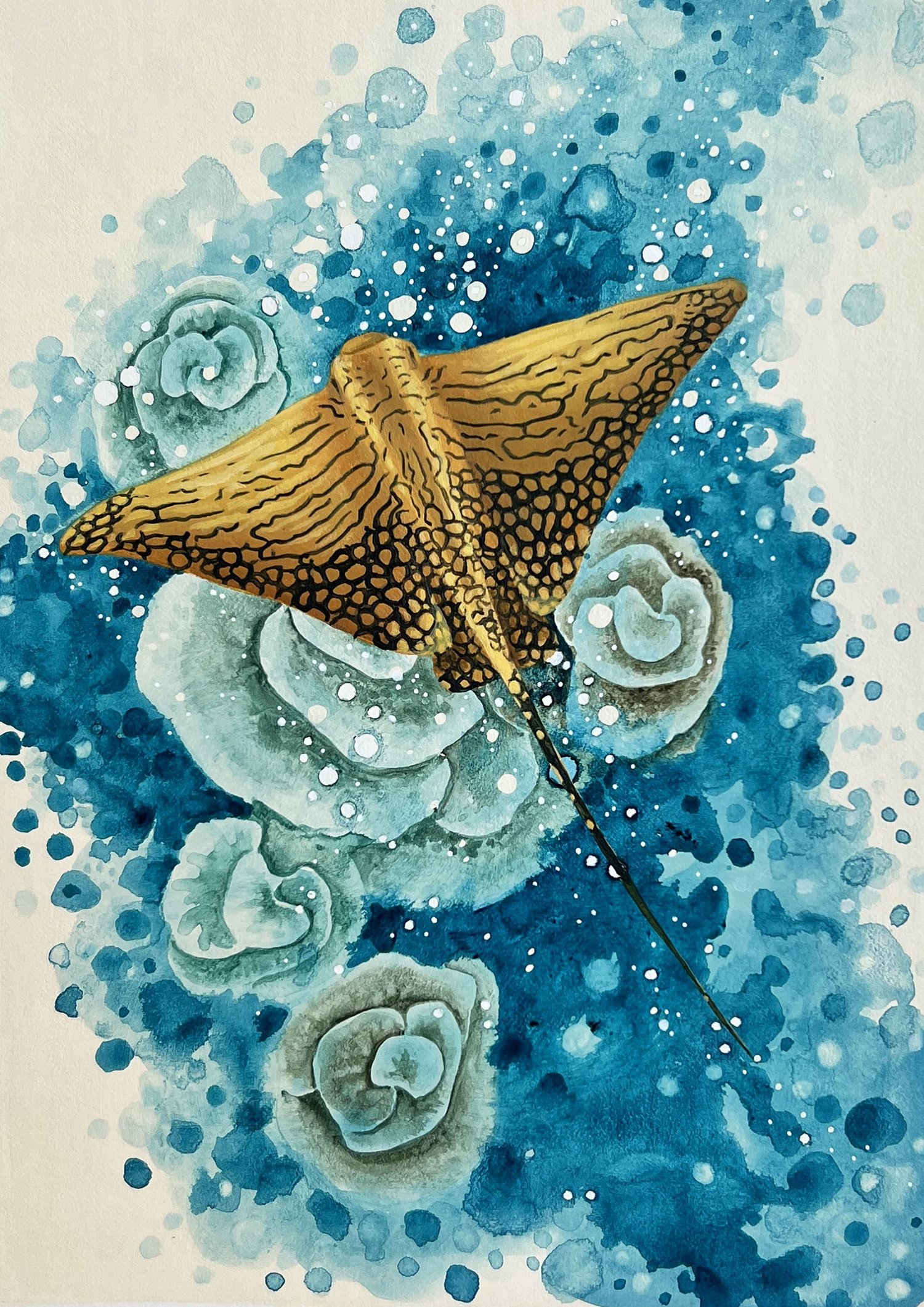 Gallery — Jenny Berry Marine Life Artist