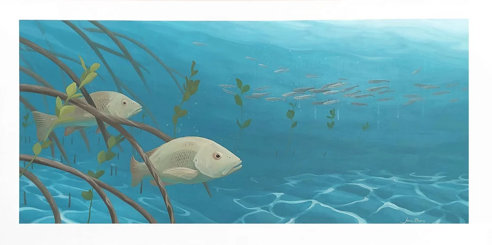Gallery — Jenny Berry Marine Life Artist