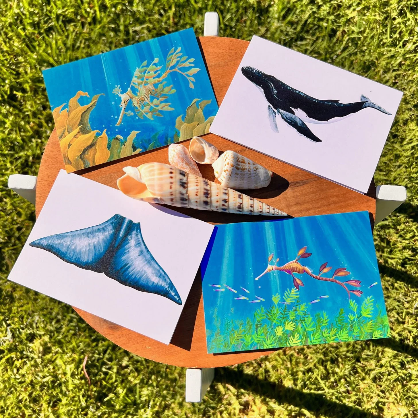 Welcome — Jenny Berry Marine Life Artist