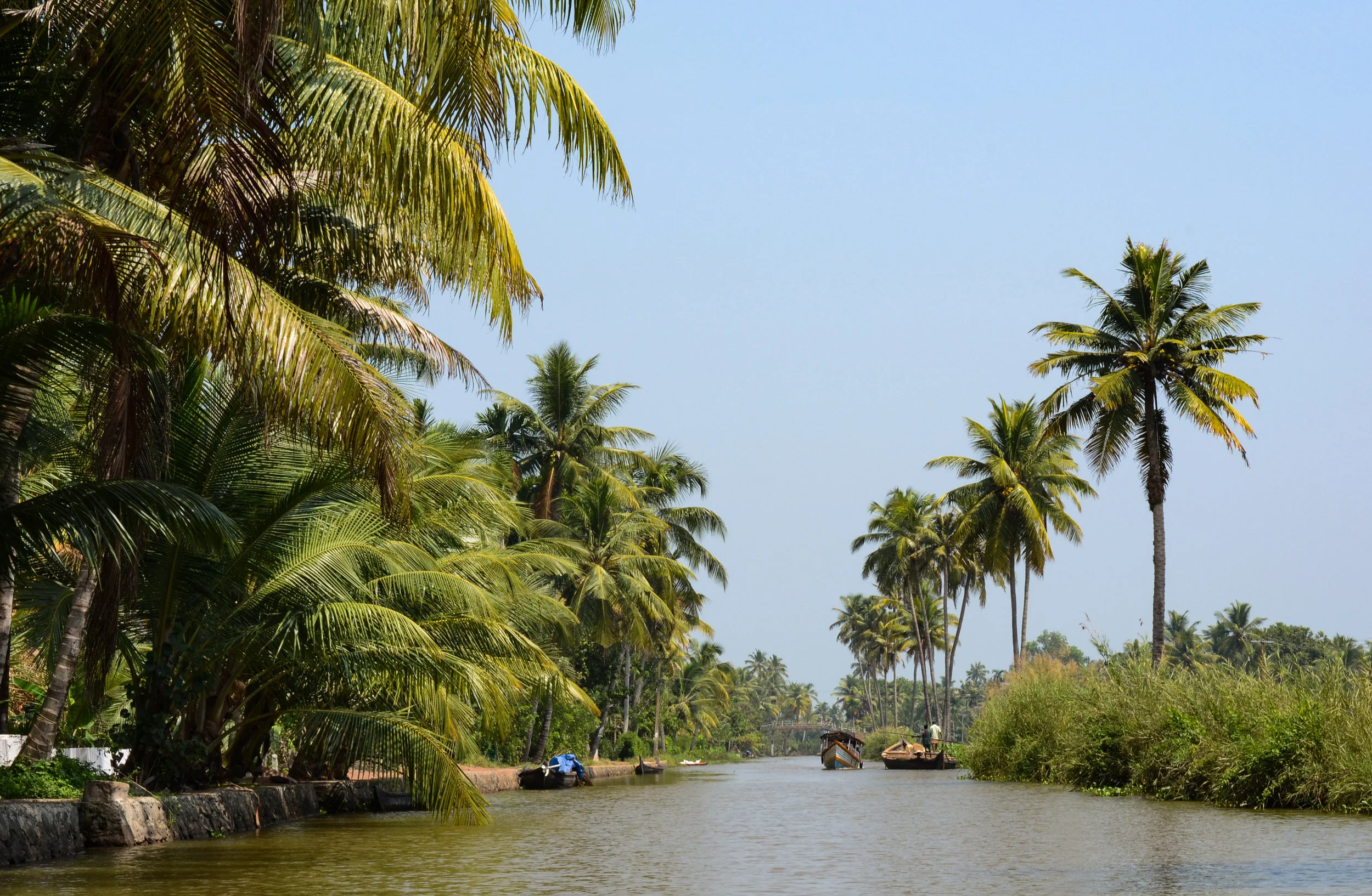 Lisa Burnell - Photography