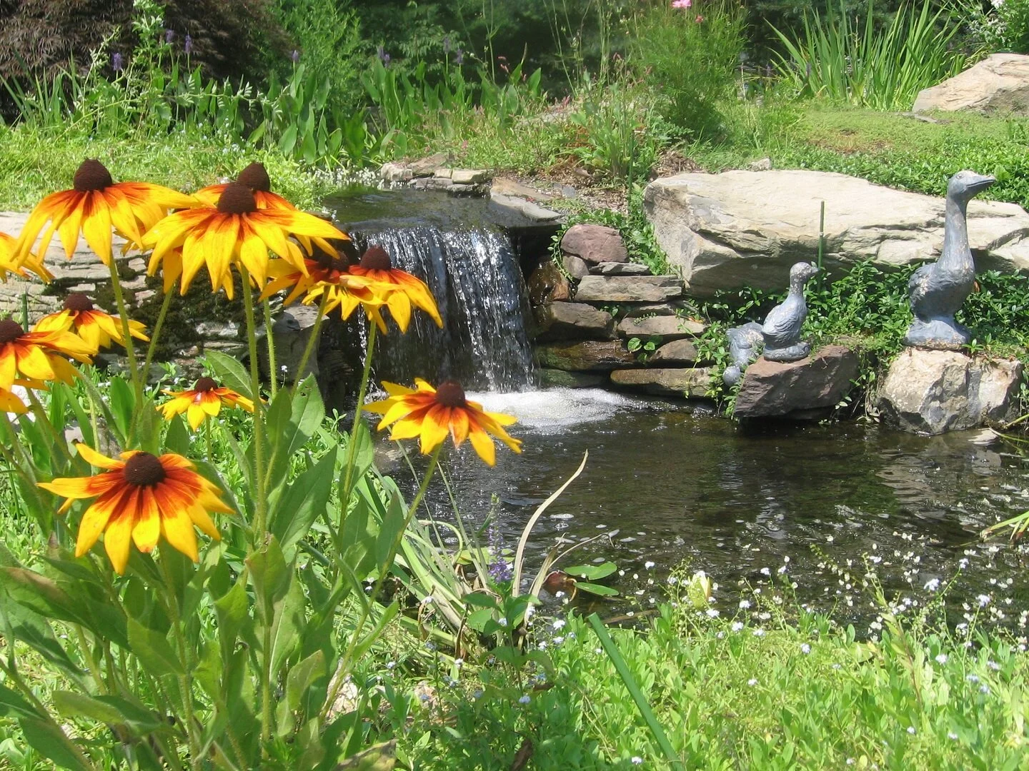 Ponds Services Ramsey, NJ | Magic Landscaping