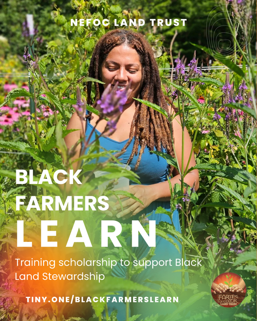 Black Farmers Learn — Northeast Farmers of Color Land Trust
