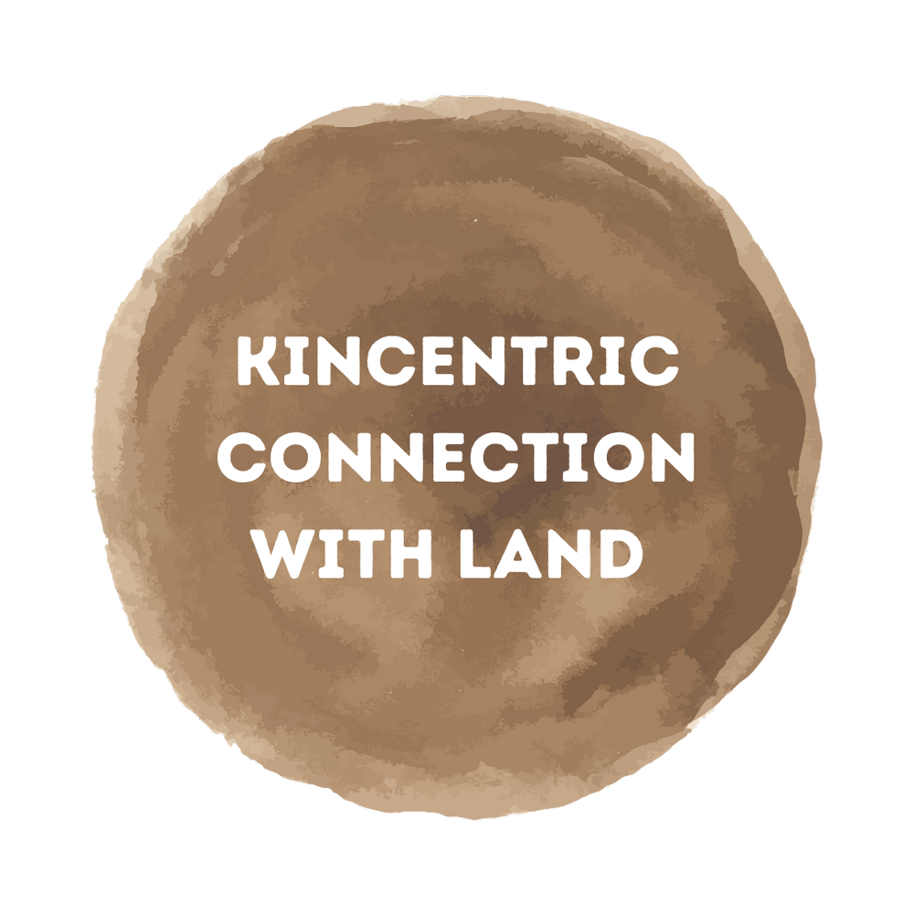 Values & Principles — Northeast Farmers of Color Land Trust