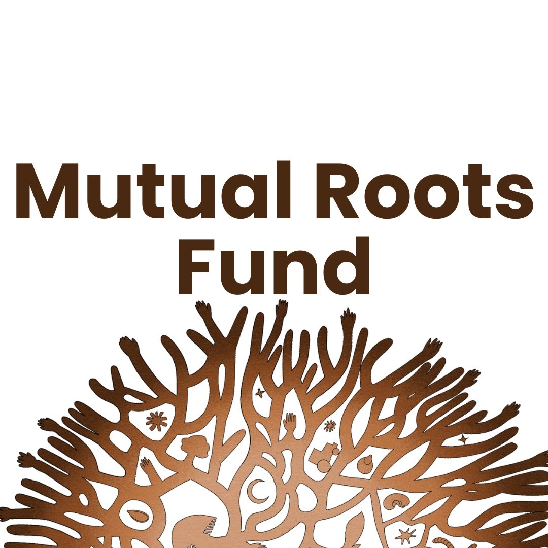 Black Land Stewardship Program — Northeast Farmers of Color Land Trust