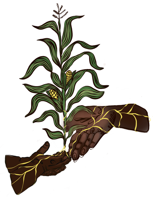 Reparations Program — Northeast Farmers of Color Land Trust