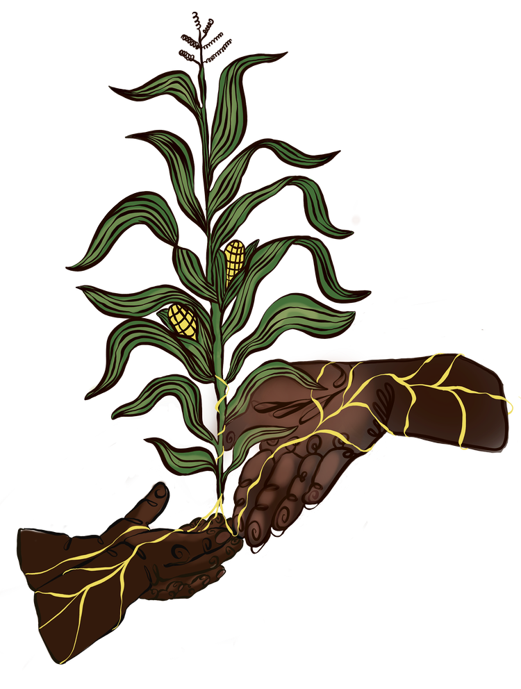 Reparations Program — Northeast Farmers of Color Land Trust