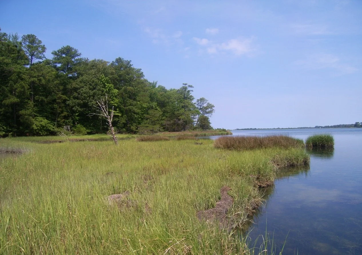 Elder Farm — Virginia Eastern Shore Land Trust