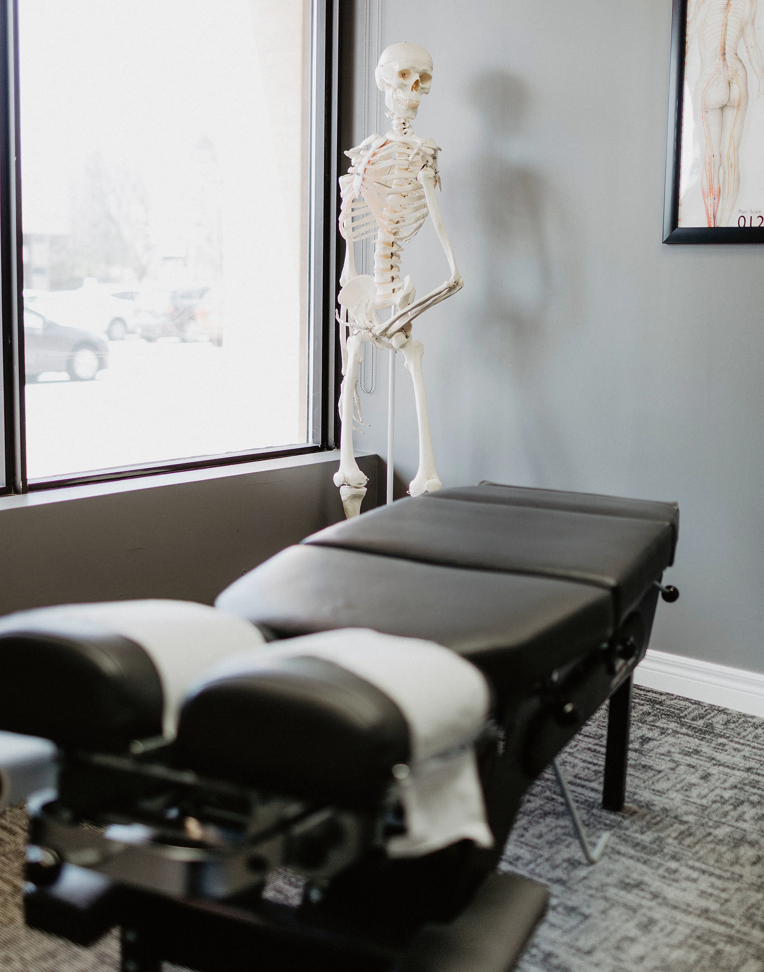 Chiropractic — ProActive Chiropractic & Training Centre Niagara Clinic