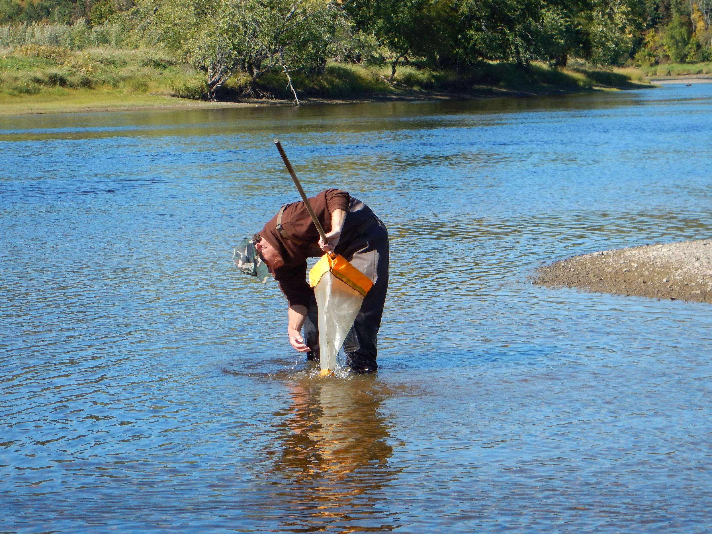 MAES Study Team — Canadian Rivers Institute