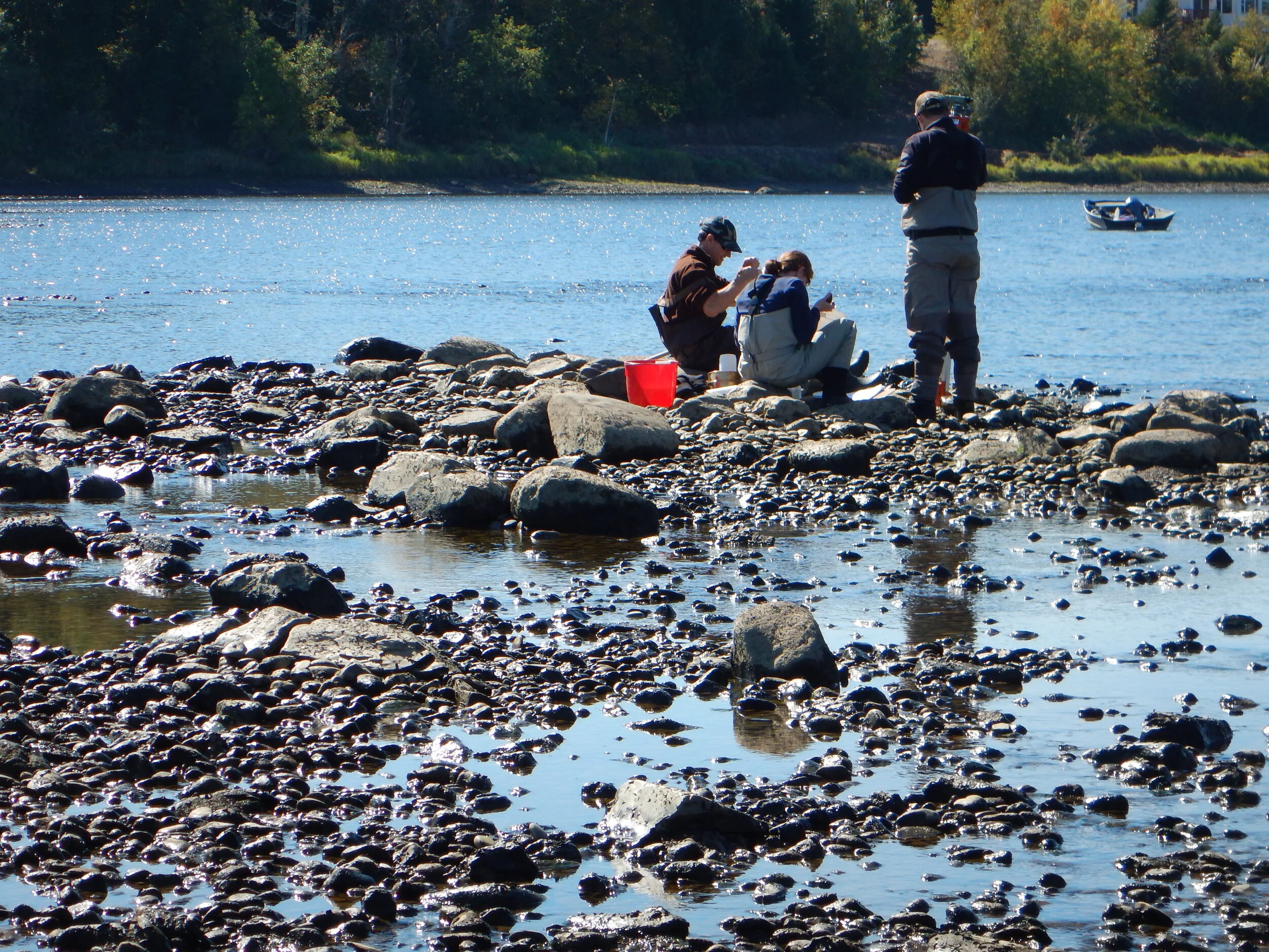 MAES Study Team — Canadian Rivers Institute