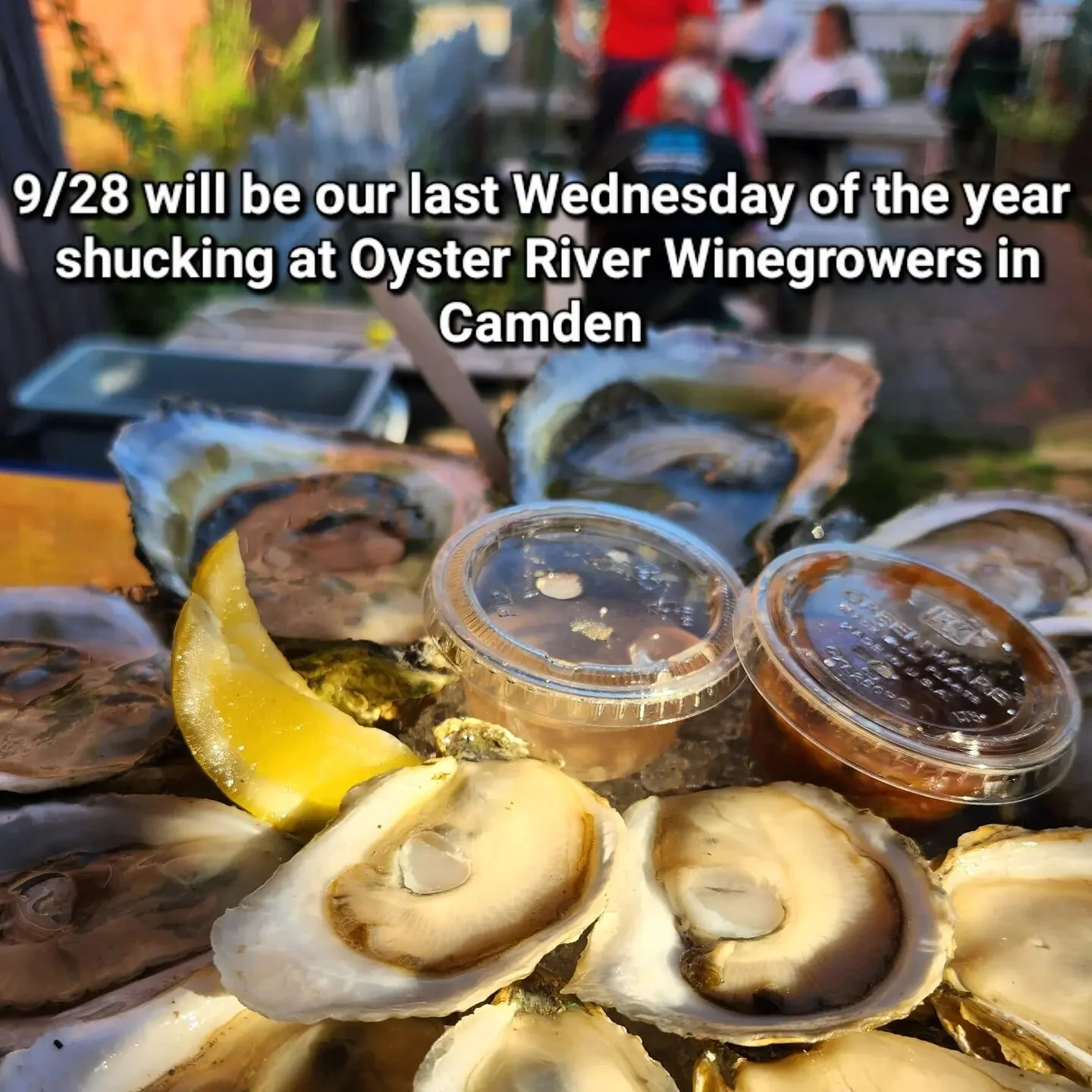 Jolie Rogers Raw Bar