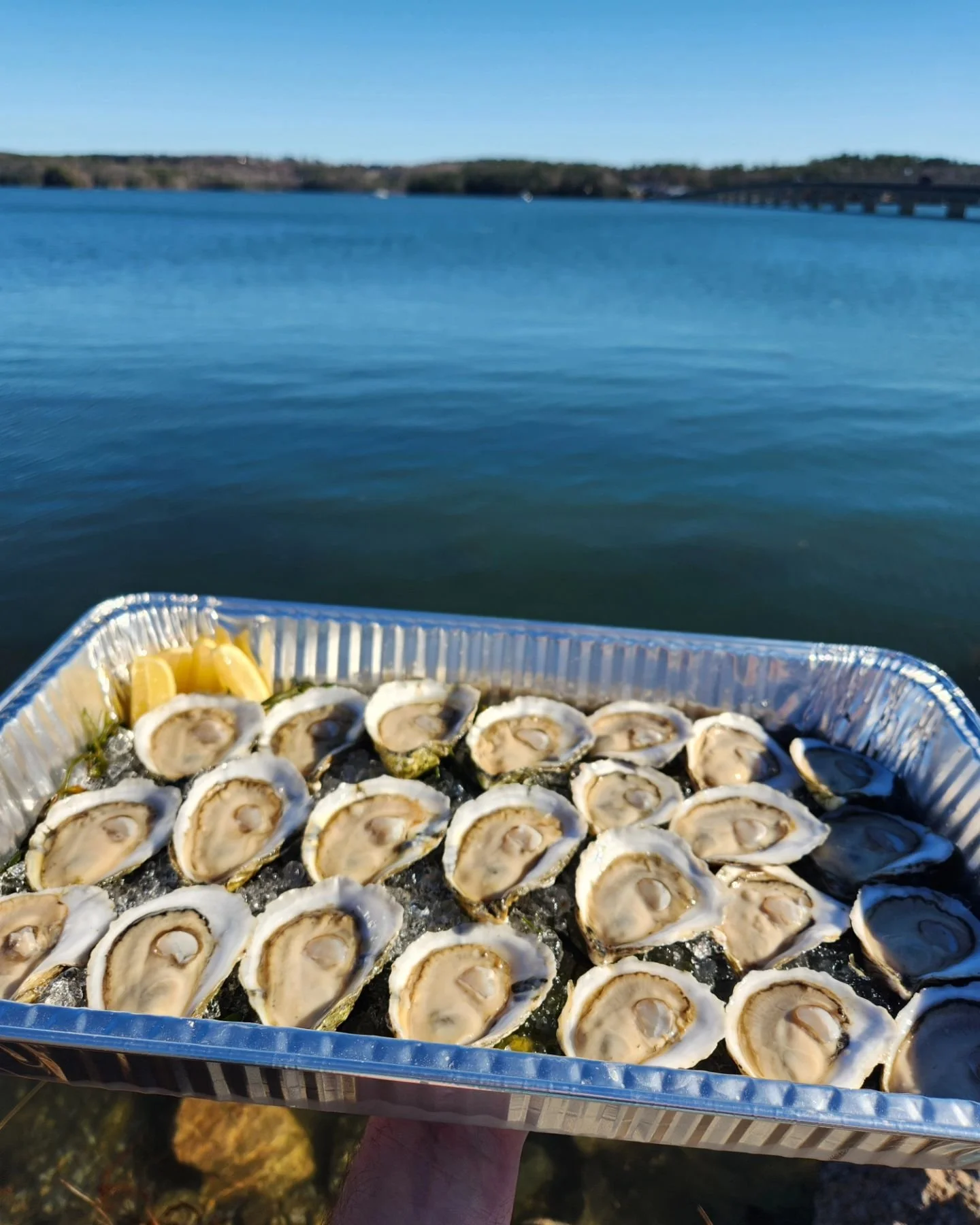 Jolie Rogers Raw Bar