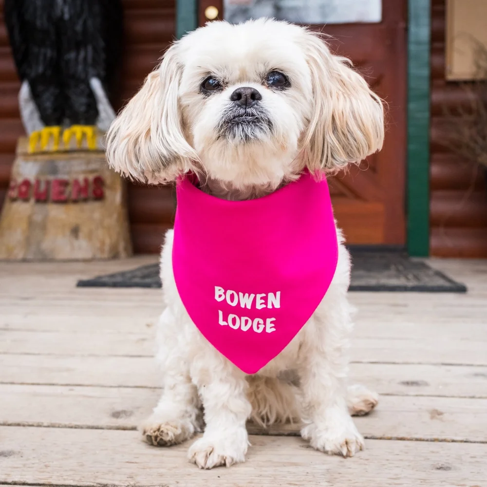 Book Your Trip — Bowen Lodge | Minnesota Family Fishing Resort