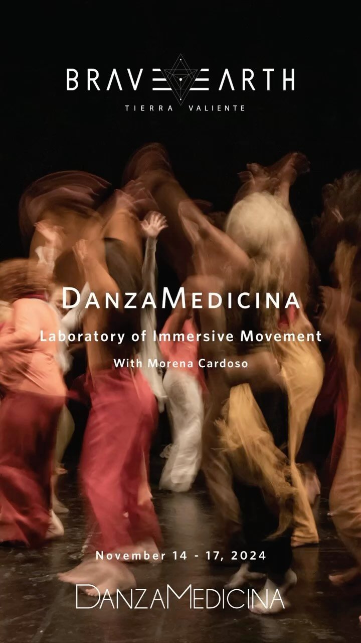 Experiences — Brave Earth