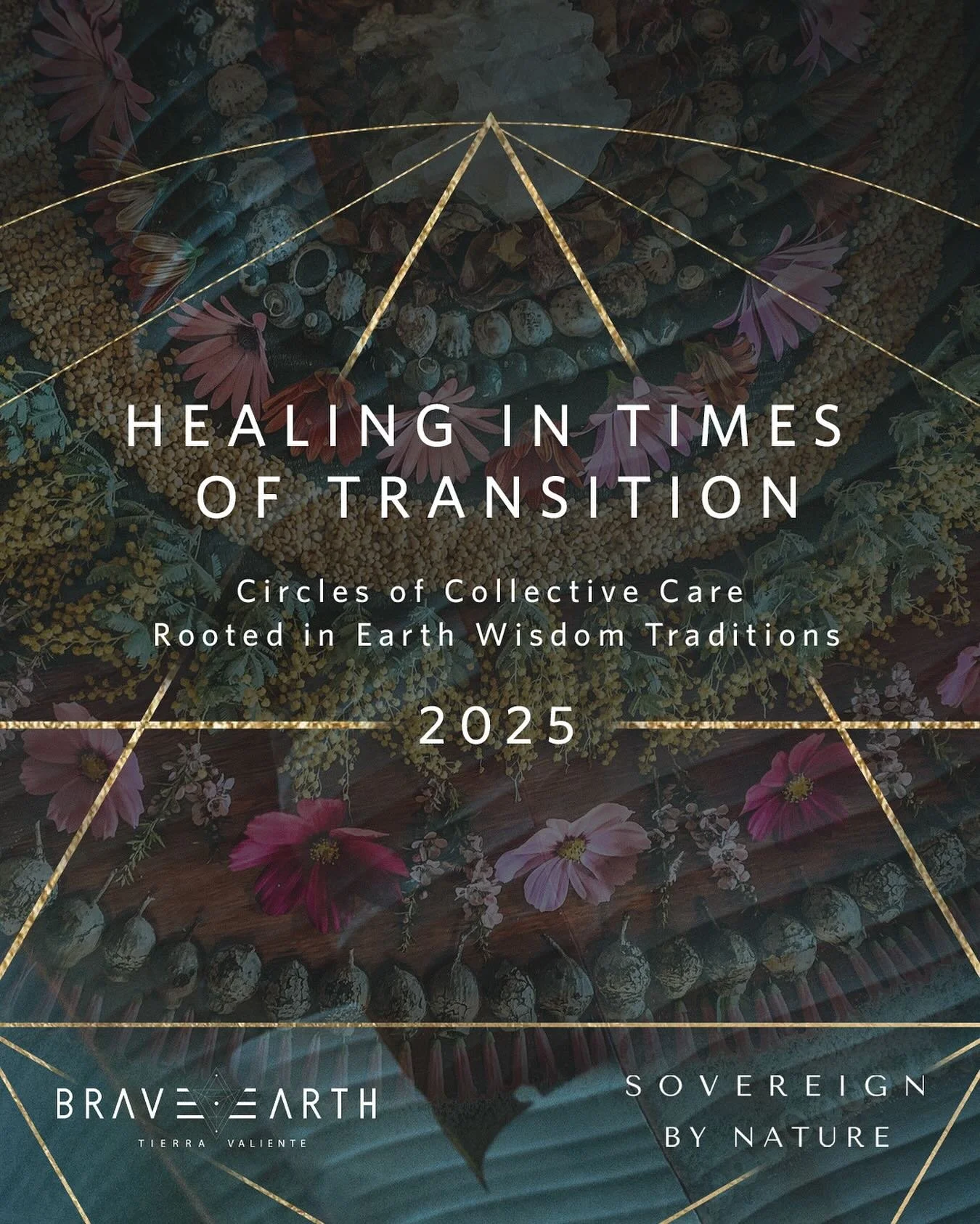 Group Bookings — Brave Earth