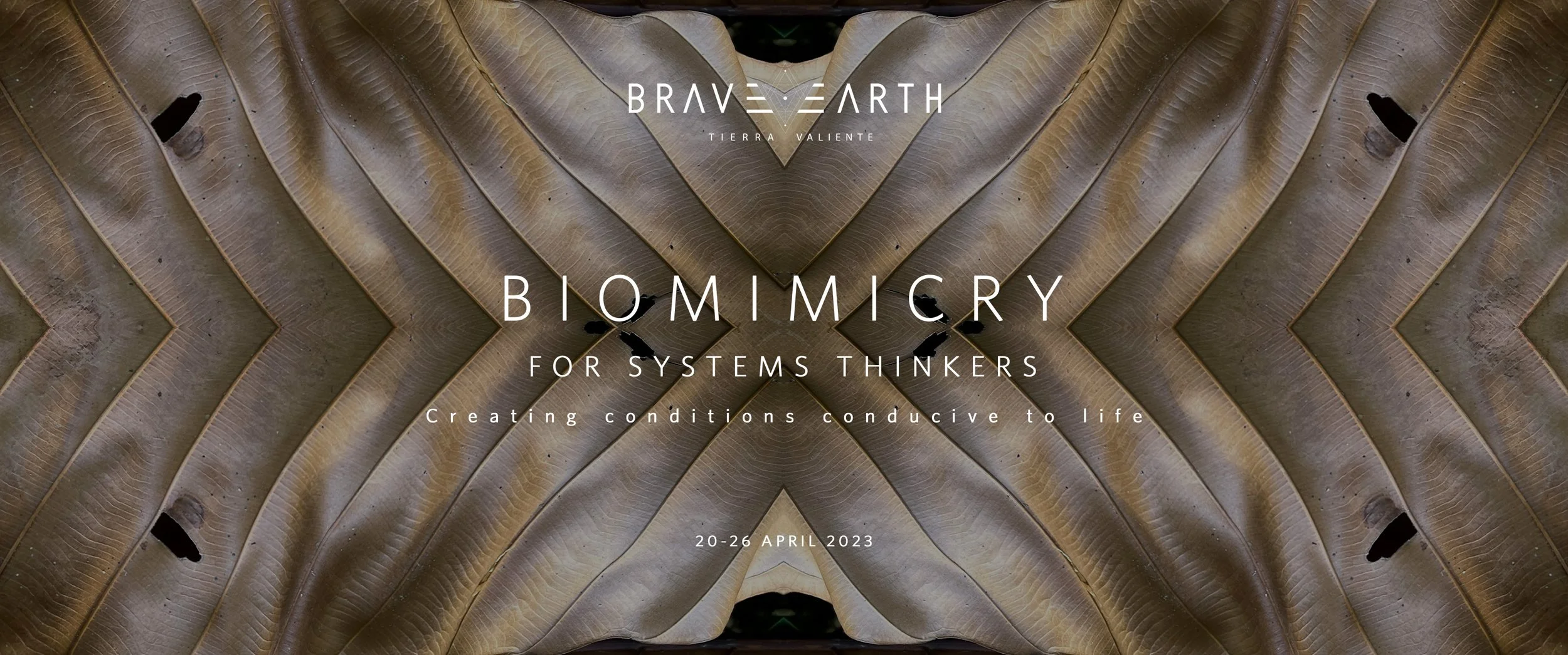 BIOMIMICRY FOR SYSTEMS THINKERS | Creating Conditions Conducive to Life ...