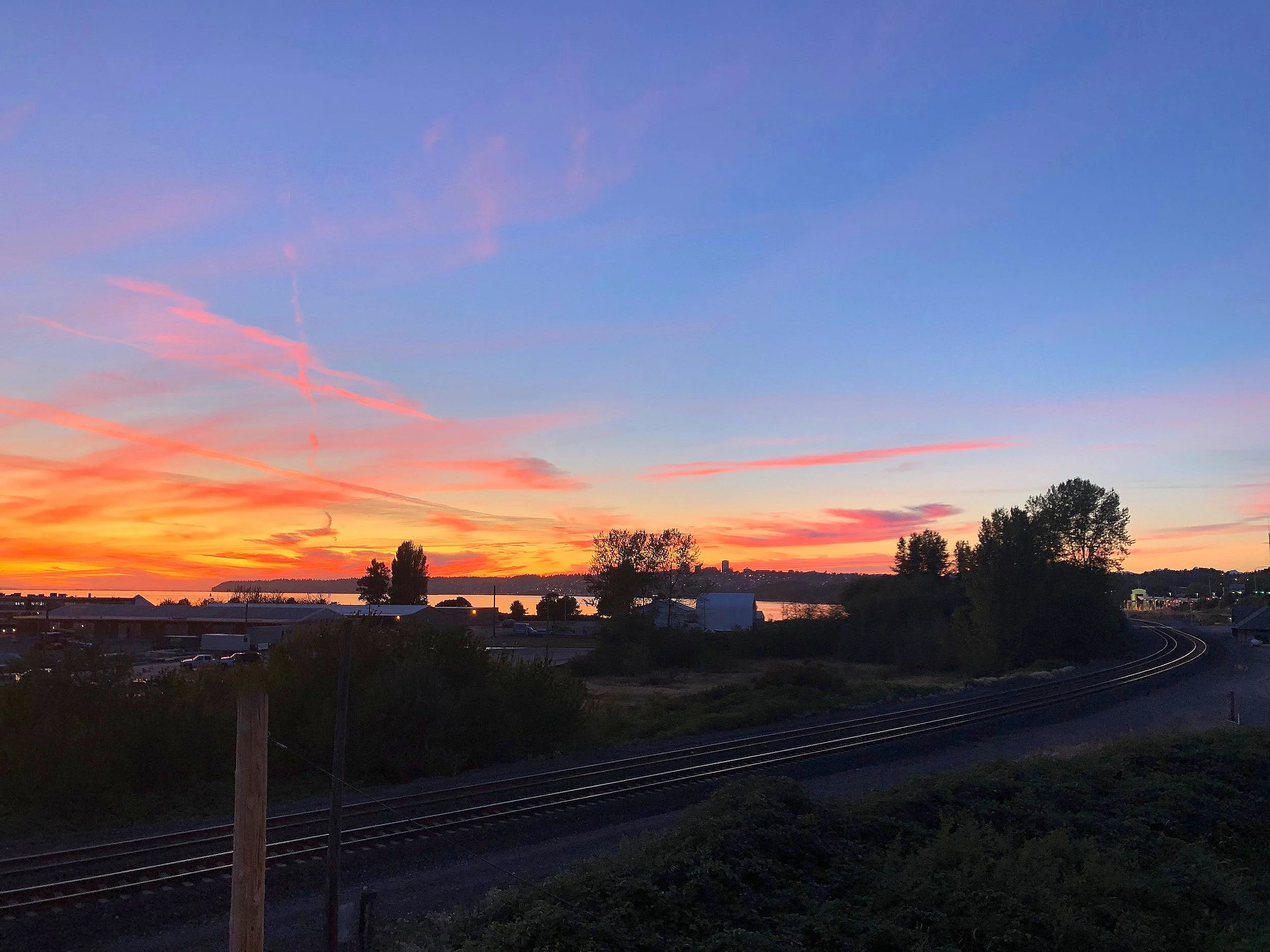 Drayton Harbor Oysters