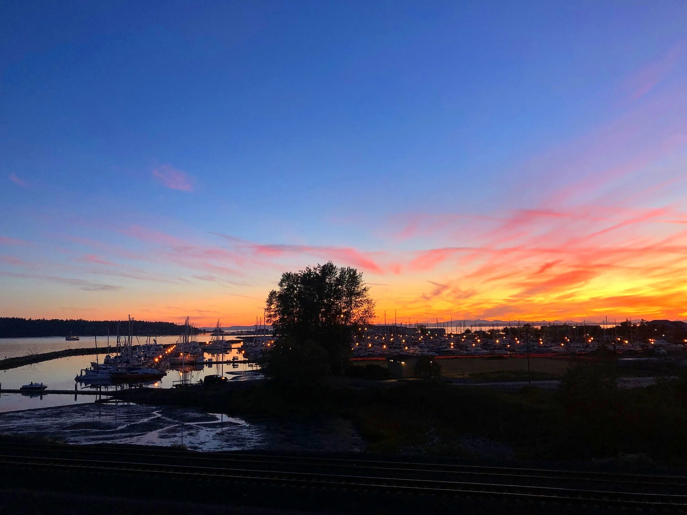 Drayton Harbor Oysters
