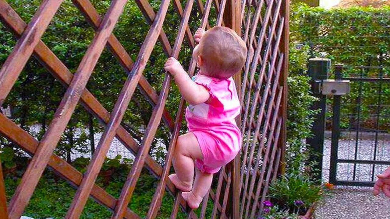 Calendar of Events — Purdue Outing Club