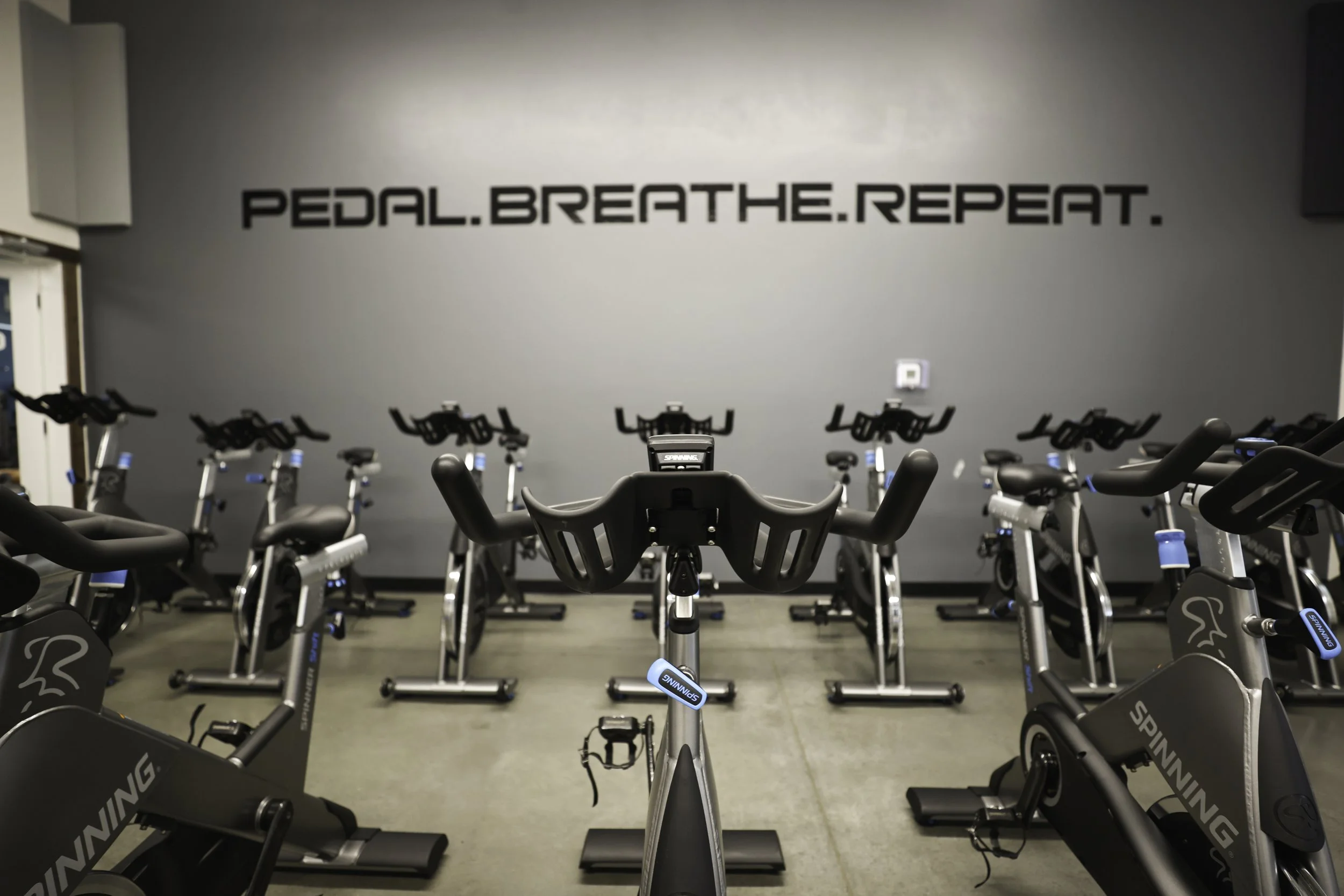 Cove Athletic Club | Belgrade's New Gym