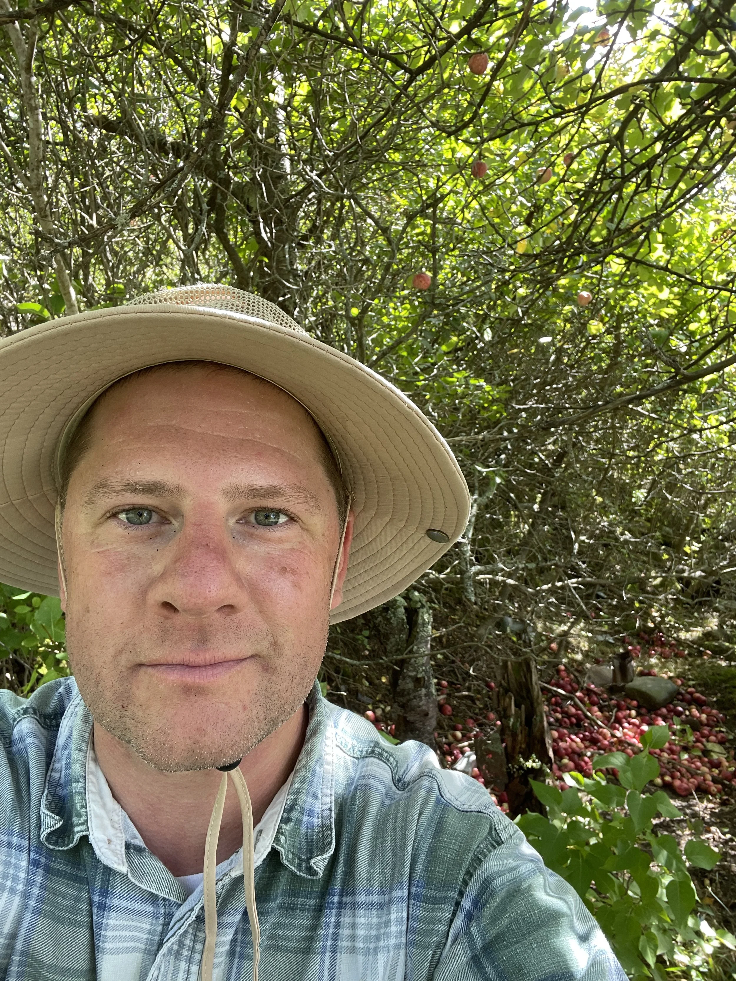 Anthony Colombo's Instagram, Twitter & Facebook on IDCrawl