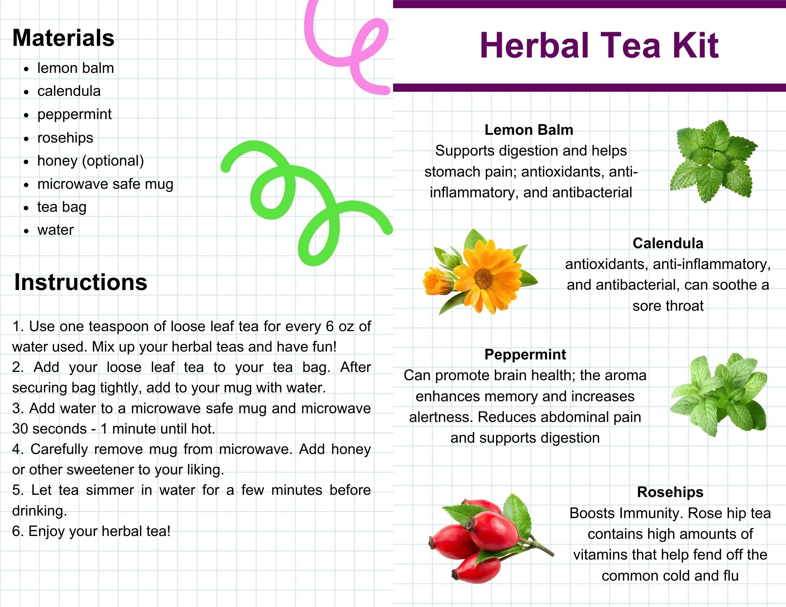 Herbal Tea Kit — Scientific Adventures for Girls