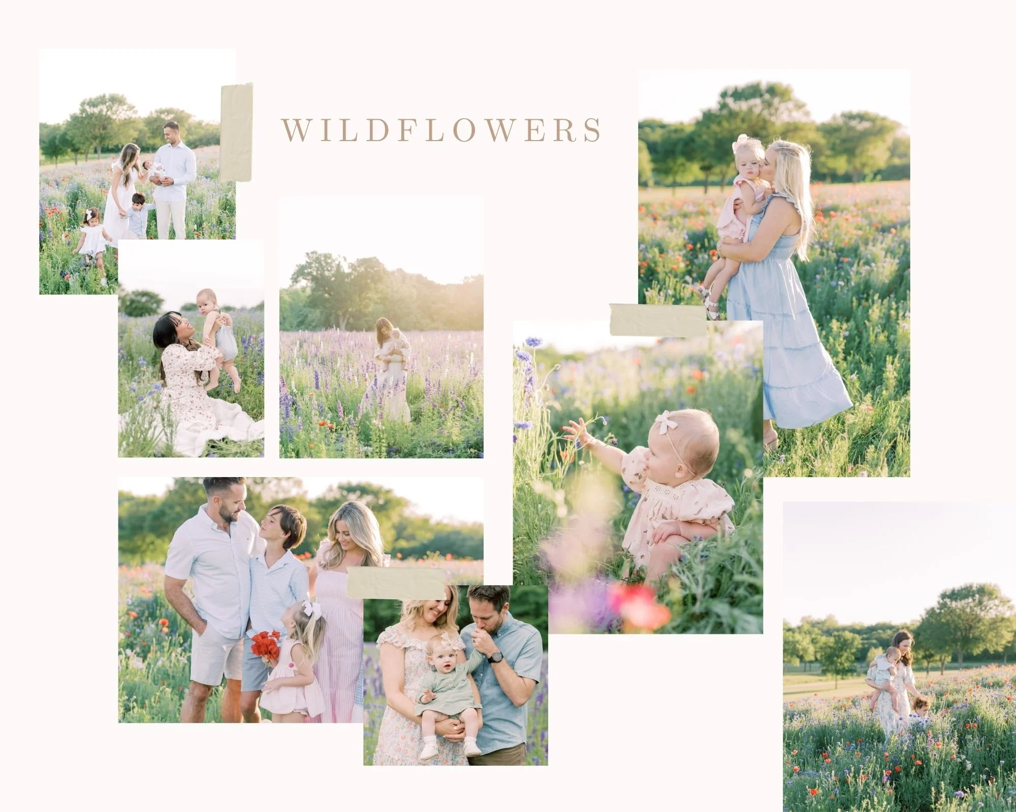 Spring Sessions — The Cottonwood Collective