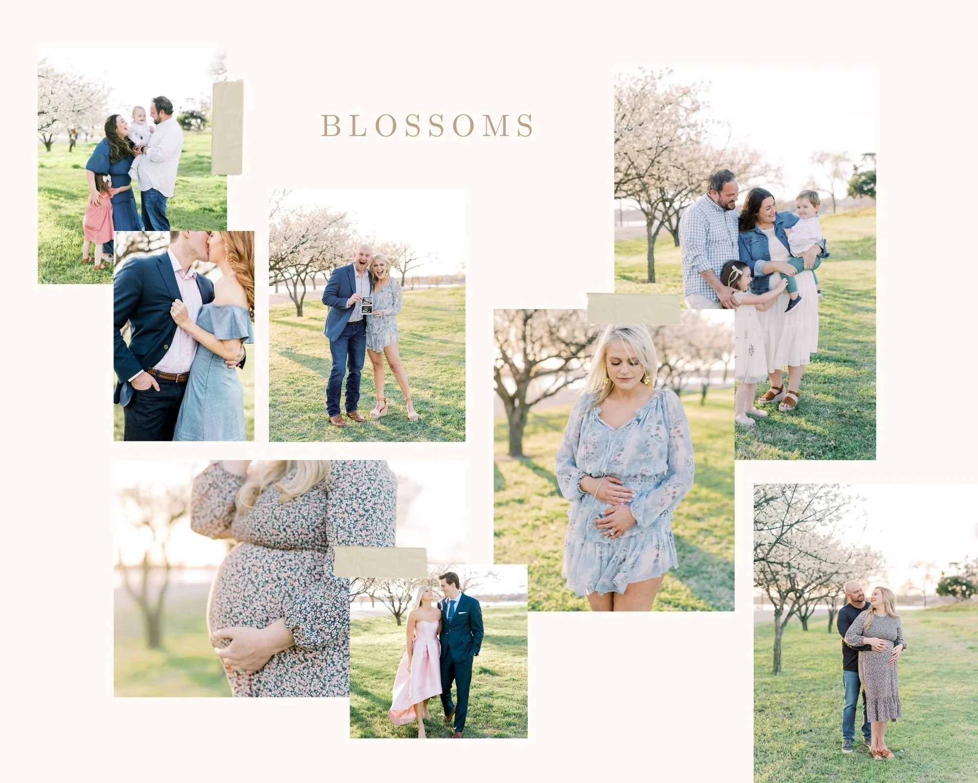 Spring Sessions — The Cottonwood Collective