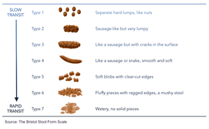 5 DIY Gut Health Tests You Can Do At Home (For Free)