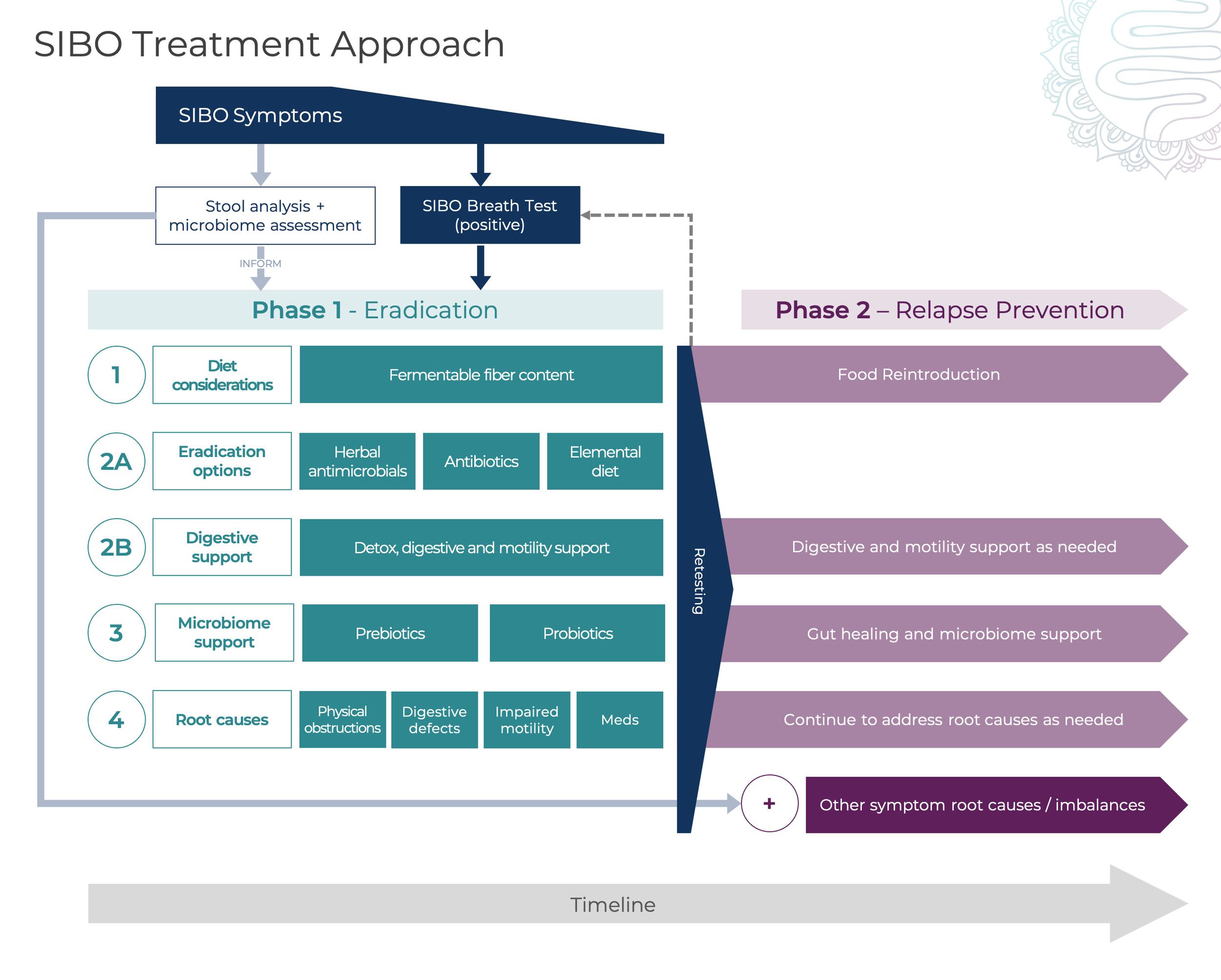Natural SIBO Treatment Protocols: 2024 Guide