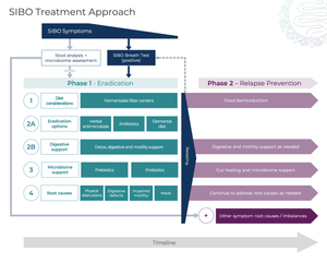 Natural SIBO Treatment Protocols: 2024 Guide