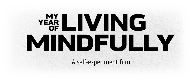 My Year Of Living Mindfully