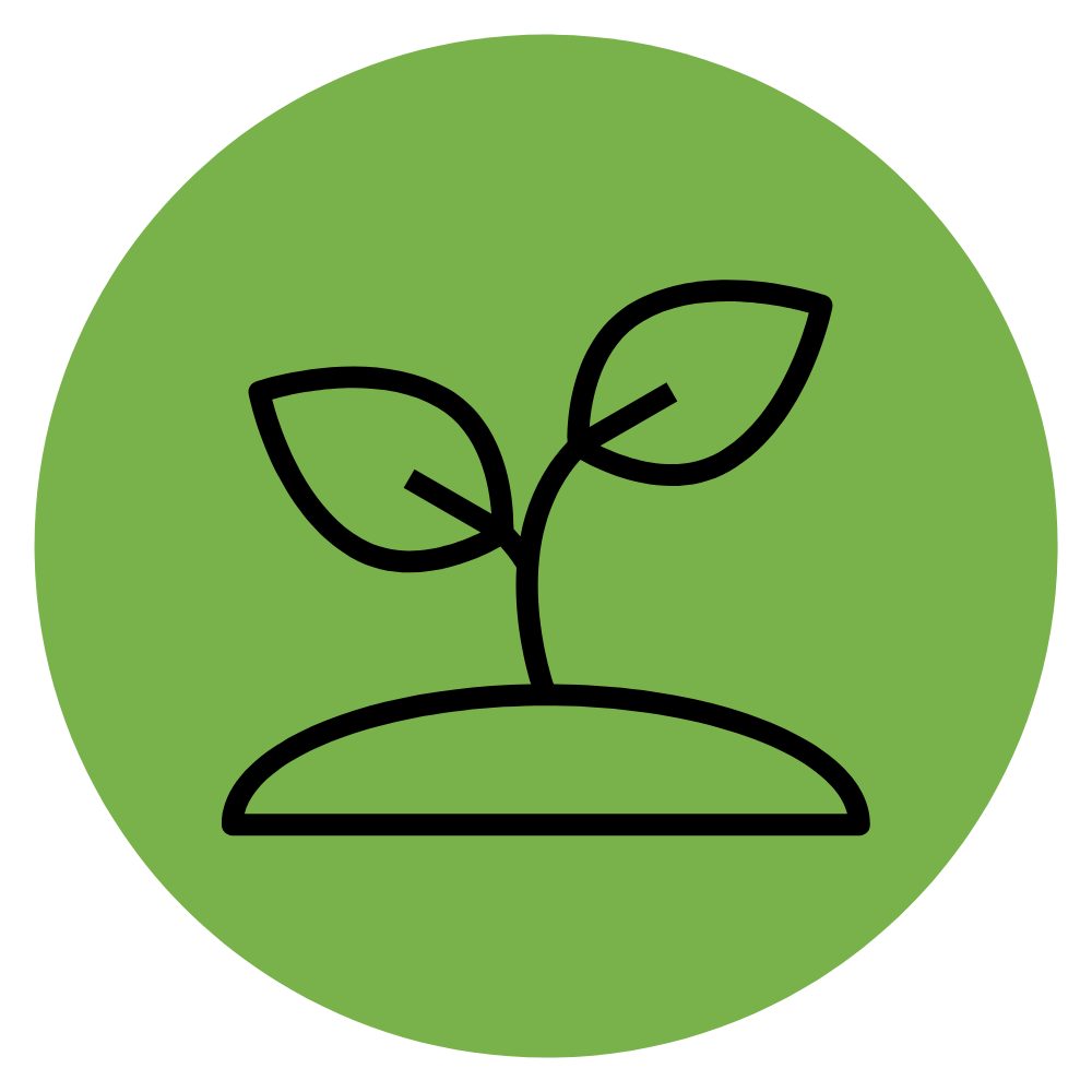 Cultivating Literacy