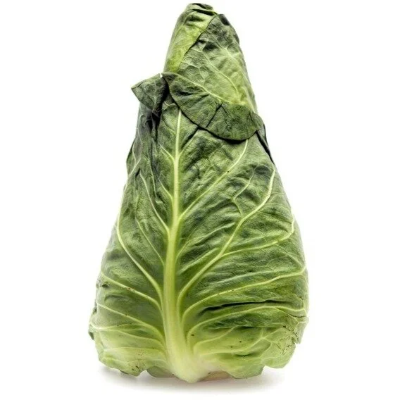 Oxheart cabbage — De Stadsgroenteboer