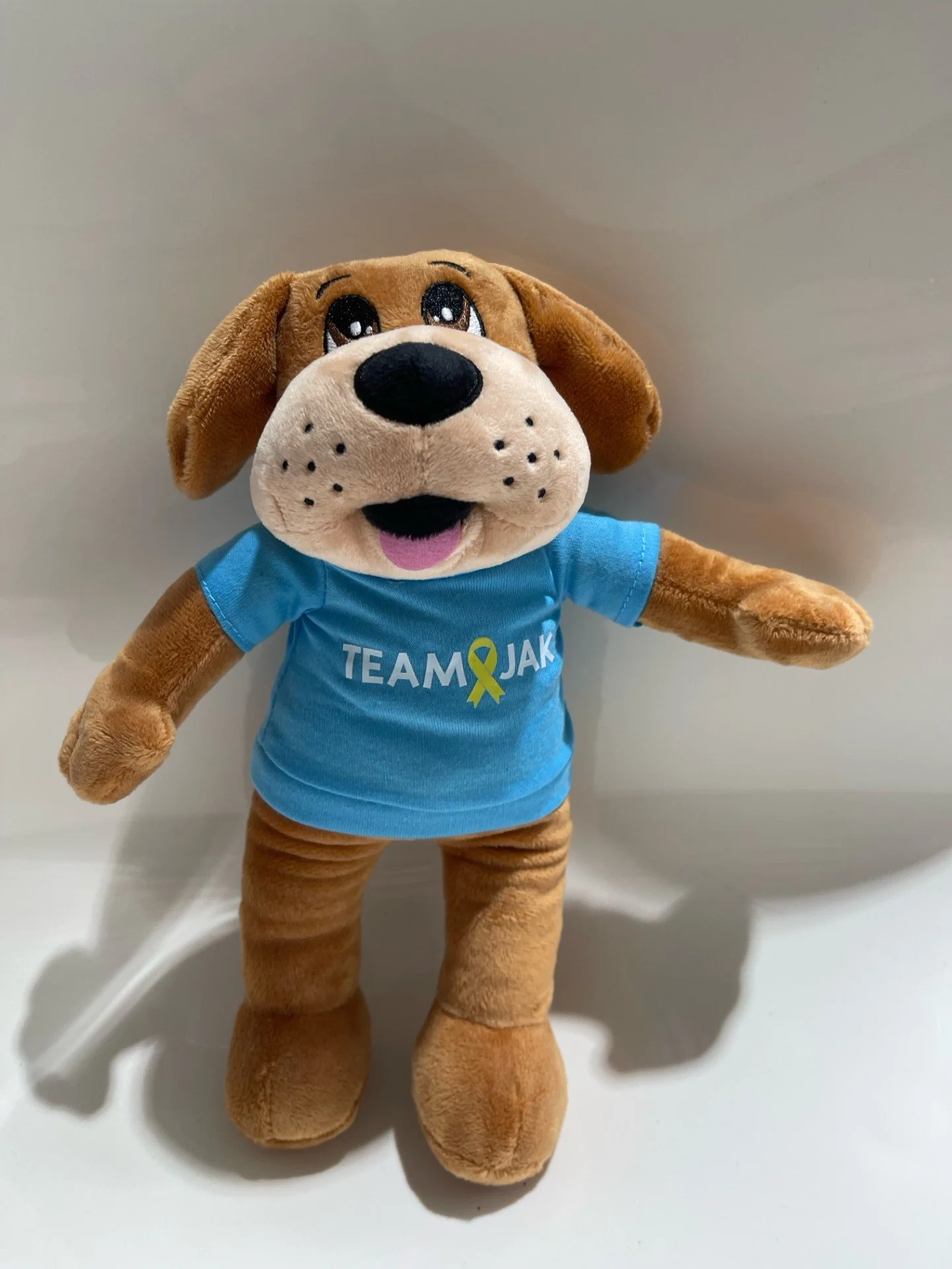 TJ Dog Mascot — Team Jak